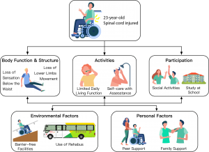 International Classification of Functioning, Disability and Health ...